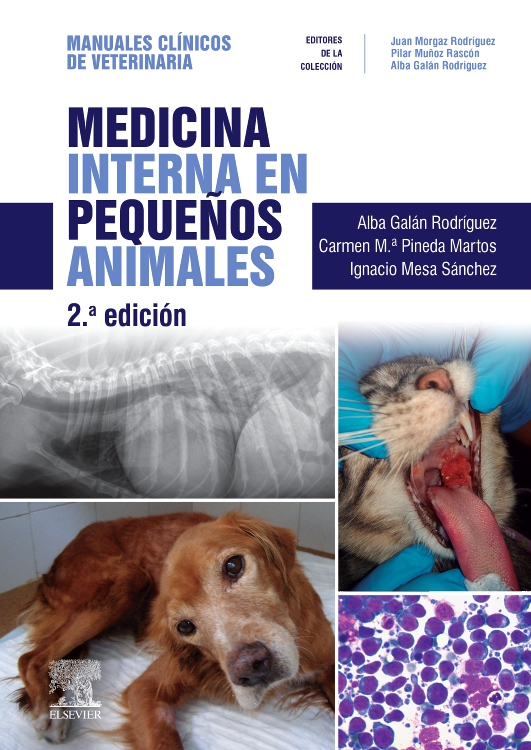 Medicina interna en pequeños animales - Edition 2 - By Alba Galán Rodríguez, Carmen Pineda ...