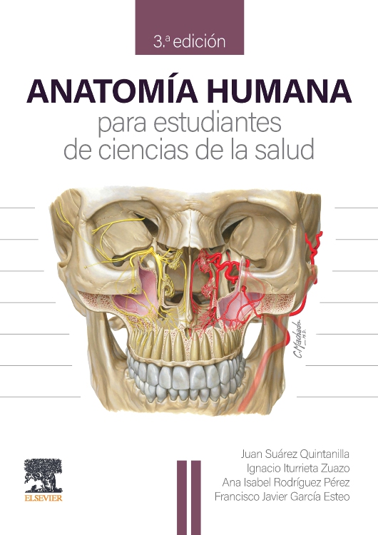 Anatomía humana para estudiantes de ciencias de la salud - Edition 3 ...