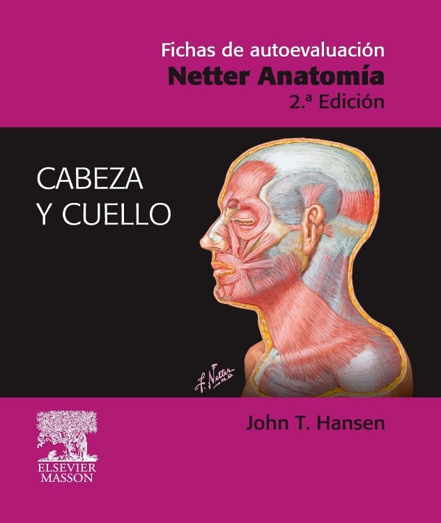 Fichas de autoevaluación. Netter Anatomía: Cabeza y Cuello - Edition 2 ...